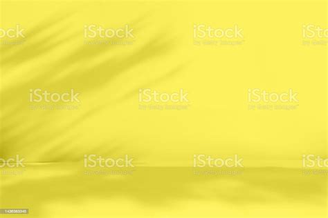 흐릿한 배경 제품 프레젠테이션을 위한 추상 노란색 스튜디오 배경 창문과 꽃과 나뭇잎의 그림자가 있는 빈 방 복사 공간이 있는 3d 룸 여름 콘서트 0명에 대한 스톡 사진 및