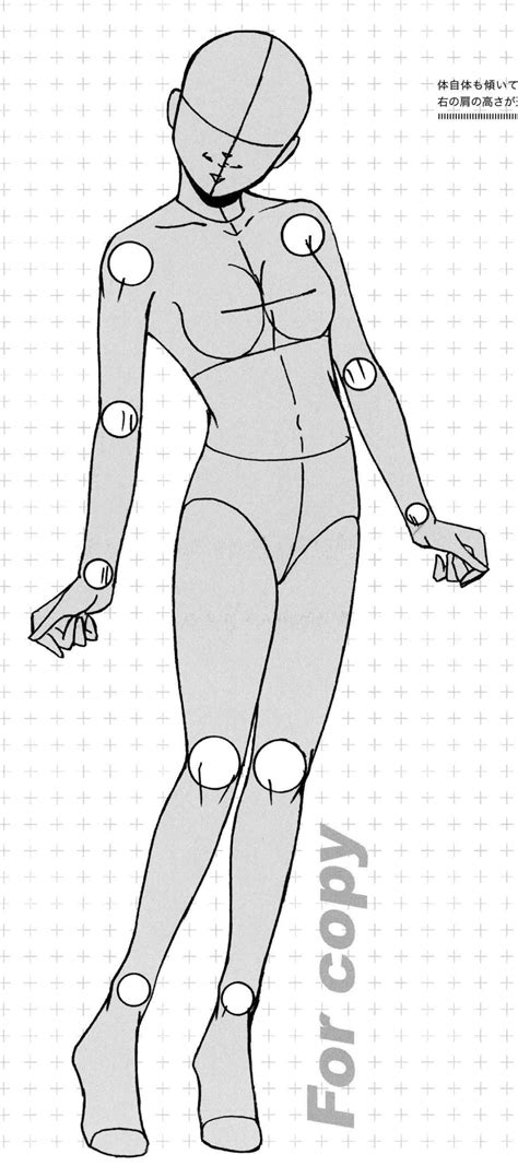 Base Model 15 By Fvsj On Deviantart Anime Drawings Drawings Art