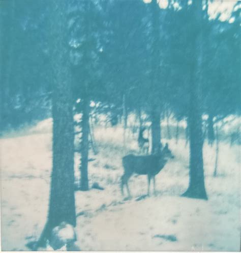 Songs I Gave Up On Semaphore Railway