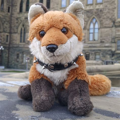 Felix Fox S Instagram Twitter Facebook On Idcrawl