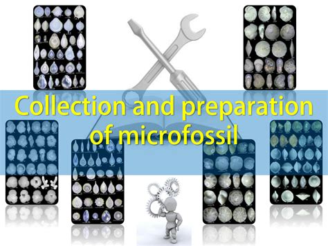 Solution Collection And Preparation Of Microfossils With Figures Studypool
