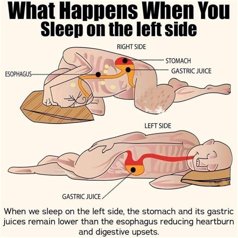 Benefits Of Sleep On The Left Side Artofit