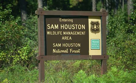 What To Know About Sam Houston National Forest In Texas