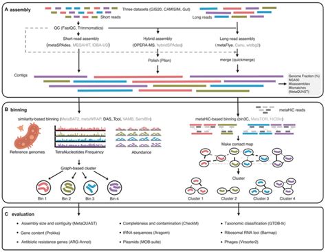 第十期 一文讲懂系统发育树系统进化树 知乎