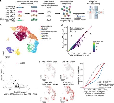 Massively Parallel Base Editing To Map Variant Effects In Human Hematopoiesis Cell