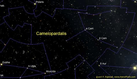 Camelopardalis Cam