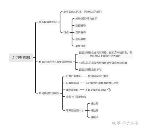 思维导图关于你想知道数据治理的一切——《一本书讲透数据治理》读书笔记 知乎
