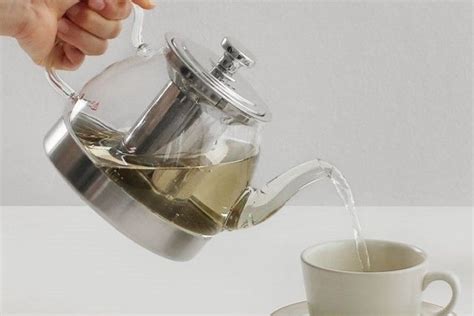 티포트 티폿 티팟 직화 인덕션 차끓이는 유리 주전자 약탕기 오늘의집 쇼핑