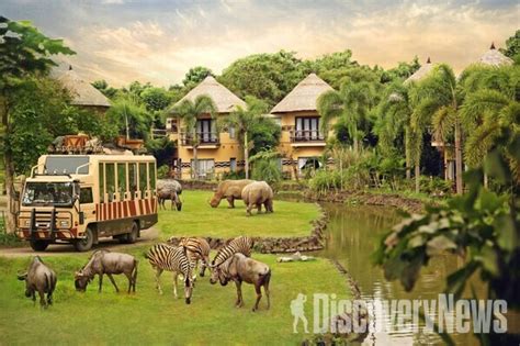 인도네시아 발리 사파리의 마법 궁극적인 여름휴가 모험