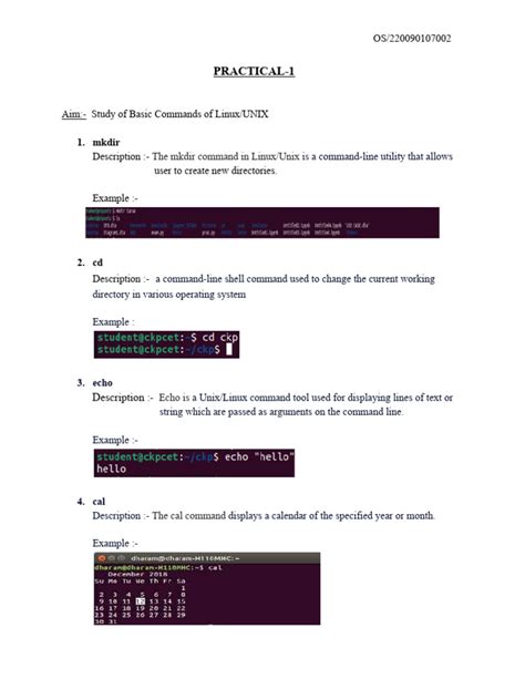 Os Practicalsdocx Pdf