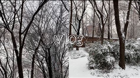 일상 Vlog 영양사의 하루 먹방브이로그 Youtube