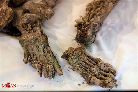 نمکی‌ترین مردان اهل کجا هستند؟