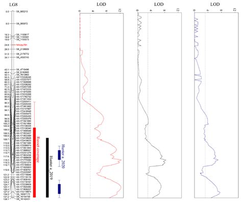 Qtls Controlling Russet Formation On Pear Fruit Skin Located In Linkage Download Scientific