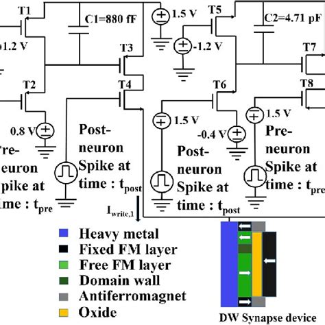 Dw Synapse Along With Transistor Based Circuit Download Scientific