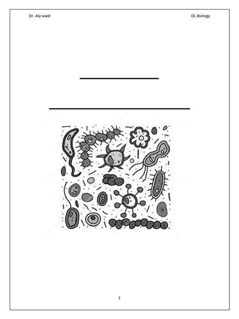 1 Classification Pdf