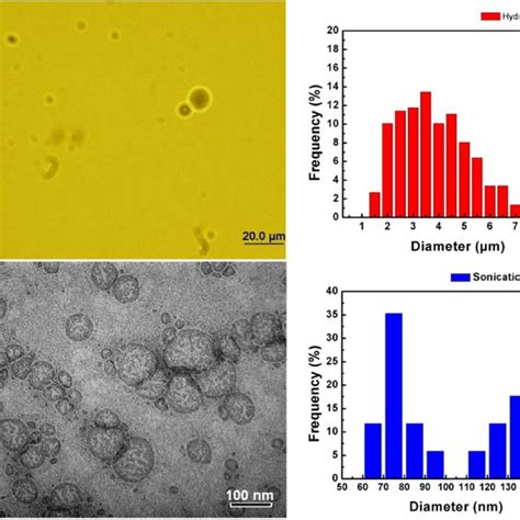 Uv Vis Spectra Of A Liposome And B Liposome Containing Curcumin Download Scientific Diagram