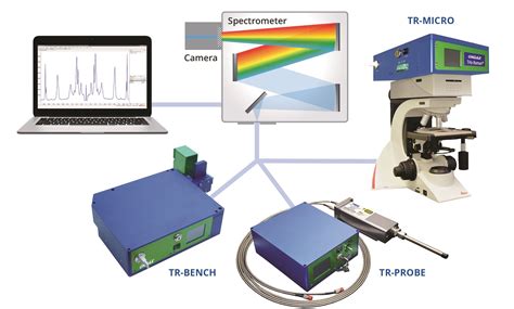 Coherent Thz Raman Modules Reveal Sample Phase Morphology