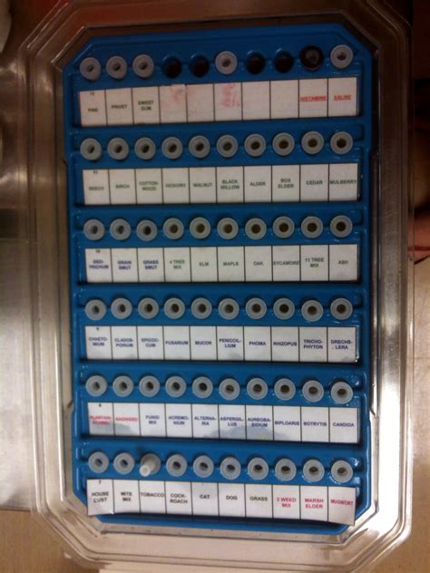 Hamburke Allergy Testing