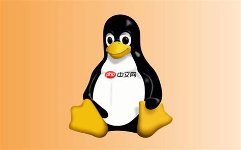如何查看linux网络接口详细信息 Ip Link命令全面解析 Linux运维 Php中文网