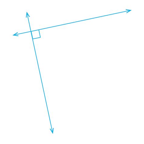 Two Marks Exercise Problems Vii — Task Mathematics State Board Class 6