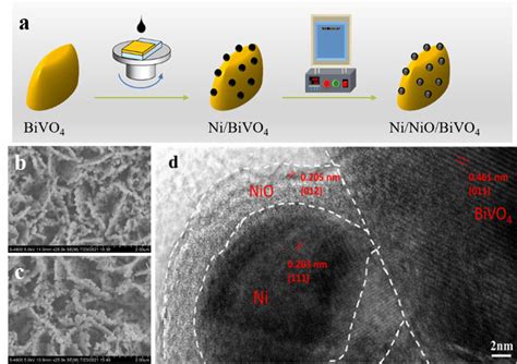 A The Synthetic Process Of The Heterostructure Photoanode Sem Images