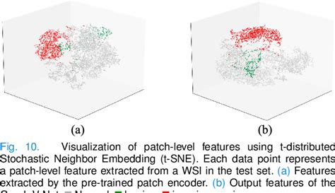 Figure 10 From A Hierarchical Graph V Net With Semi Supervised Pre Training For Histological