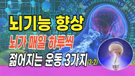 뇌건강 기억력과 뇌기능 향상 운동법 3 2 뇌기능 향상 운동 Youtube