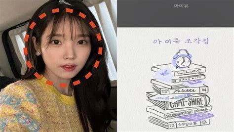 아이유 표절 의혹 결국 참다 나섰다 너무 잔인한 괴롭힘 연예인 인스타그램 중학교