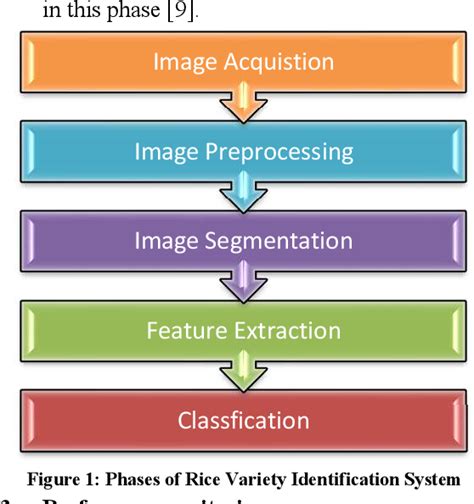 Figure 1 From Classification Of Rice Varieties Using Convolution Neural Network Semantic Scholar