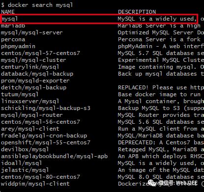 MySQLMySQL 安装基于 Docker 腾讯云开发者社区 腾讯云