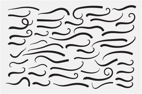 Font Swoosh Tails Ornamental Vector Graphic By Nurearth · Creative Fabrica