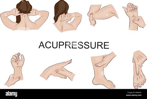 Illustration Of The Techniques Of Acupressure Oriental Medicine Stock