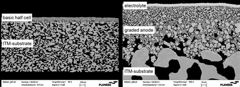 Sem Micrographs Of Cross Section Of A Half Cell Msc Overview Left Download Scientific