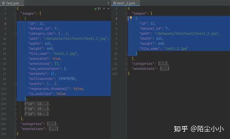 【coco Annotator教程三） 导入】 知乎