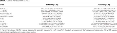 Table From Delivery Of Long Non Coding RNA NEAT By Peripheral Blood Monouclear Cells Derived