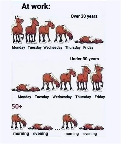 Javascript On Linkedin Monday Memes Coder Memes Humor Jokes