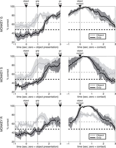 Linking Objects To Actions Encoding Of Target Object And Grasping Strategy In Primate Ventral
