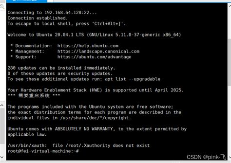 使用xshell连接linux的虚拟机出现could not connect to ‘192 168 64 128‘ port 22