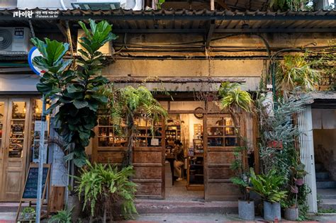 타이베이 츠펑제 카페거리赤峰街 대만에서 카페 멀리서 찾지 마세요 대만 관광지 산 공원 아이타이완
