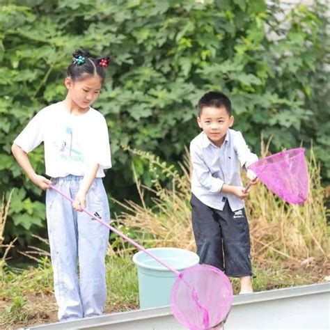 摸鱼 · 钓虾 · 插秧，夏日稻田野趣在先锋农场开启众兴乡乡村集体经济