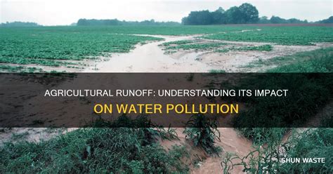 Agricultural Runoff Understanding Its Impact On Water Pollution