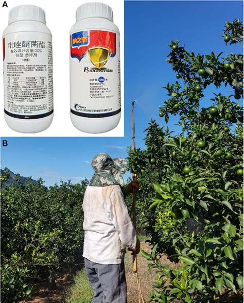 Pesticide Pyraclostrobin Haisa Qingdao China Active Ingredient Download Scientific Diagram