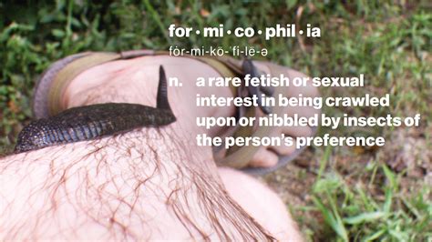 Vice Inside Bug Play Aka Formicophilia Vice Guide To Sex Vice Inside Bug Play Aka Formicophilia Vice Guide To Sex