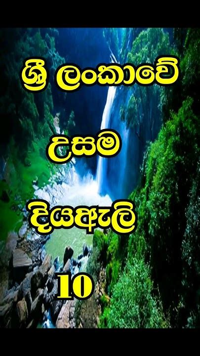ශ්‍රී ලංකාවේ උසම දියඇලි 10 🇱🇰💧🤔 Waterfall Srilanka Shorts Youtube