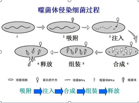 星耀避坑攻略中试工艺转移的技术小结 知乎