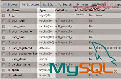 Tipe Data Field Pada Dbms Mysql Lets Share All Things