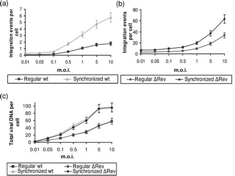 integration and viral cdna levels following synchronized and