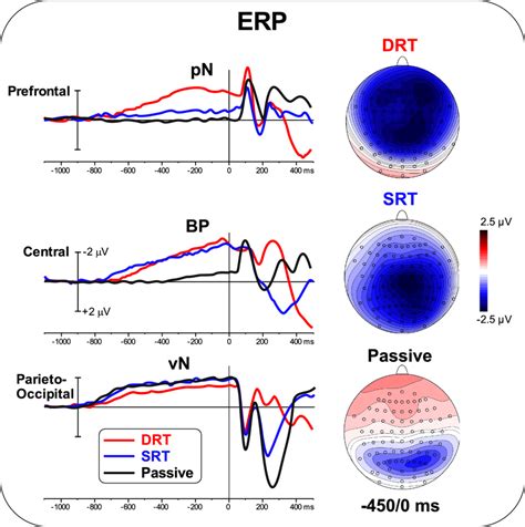 The Left Panel Shows The Overlapping Erp Waveforms For The Three Rois