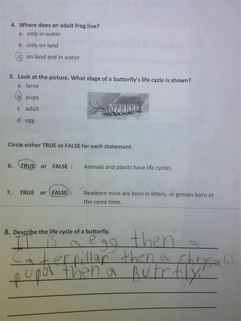 Work Sample And Reflective Statement 2 Common Assessment Portfolio