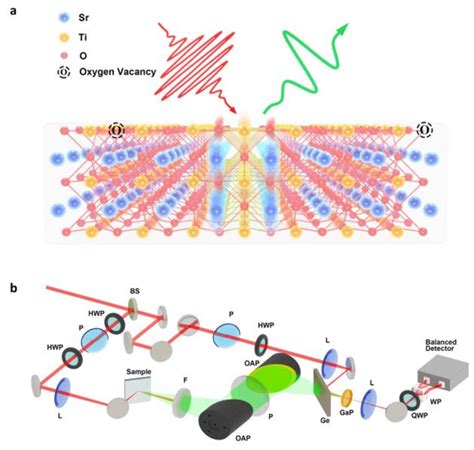 Schematic Of Terahertz Difference Frequency Spectroscopy A Schematic Download Scientific